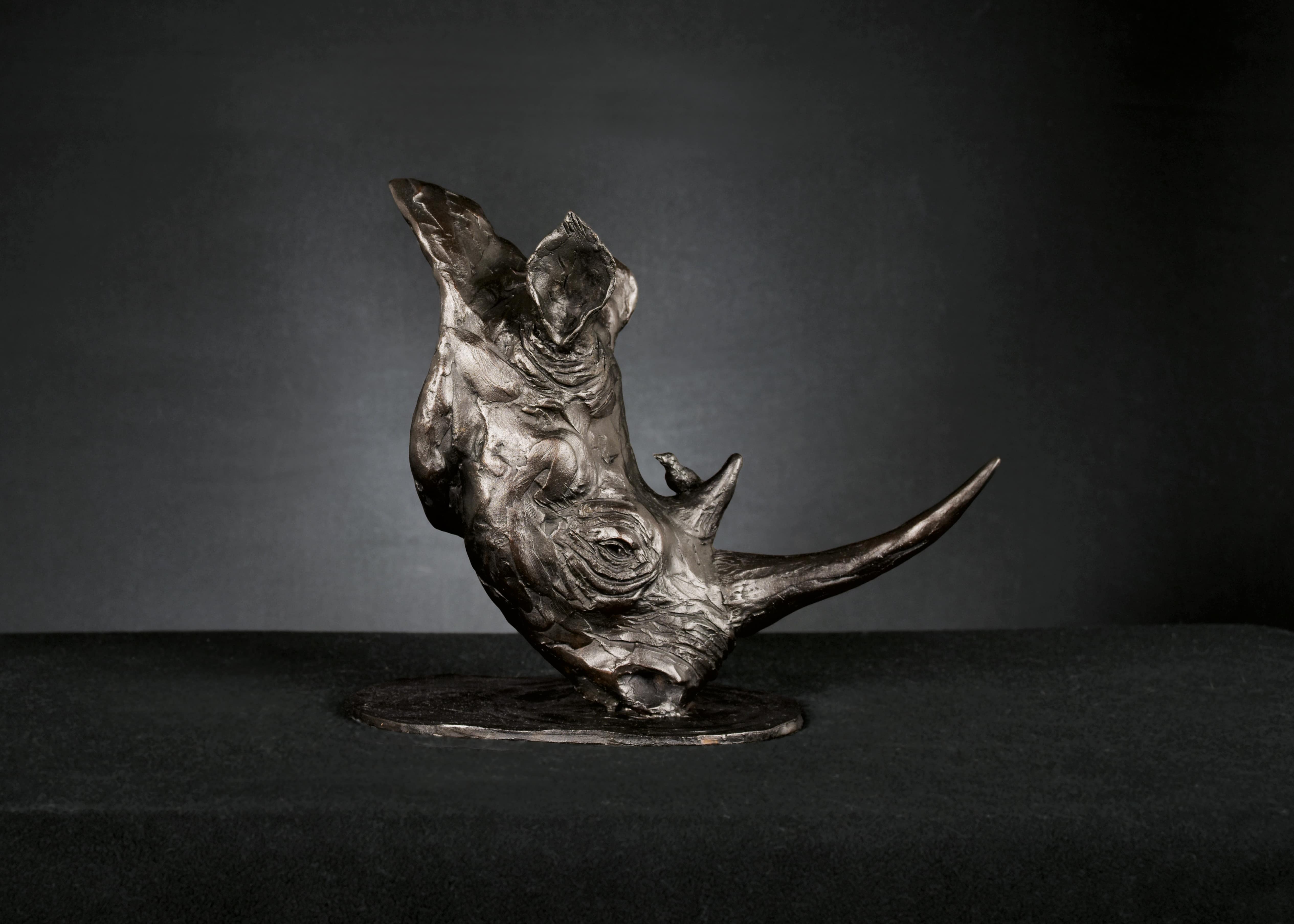 Mutualism - Exceptional Pieces